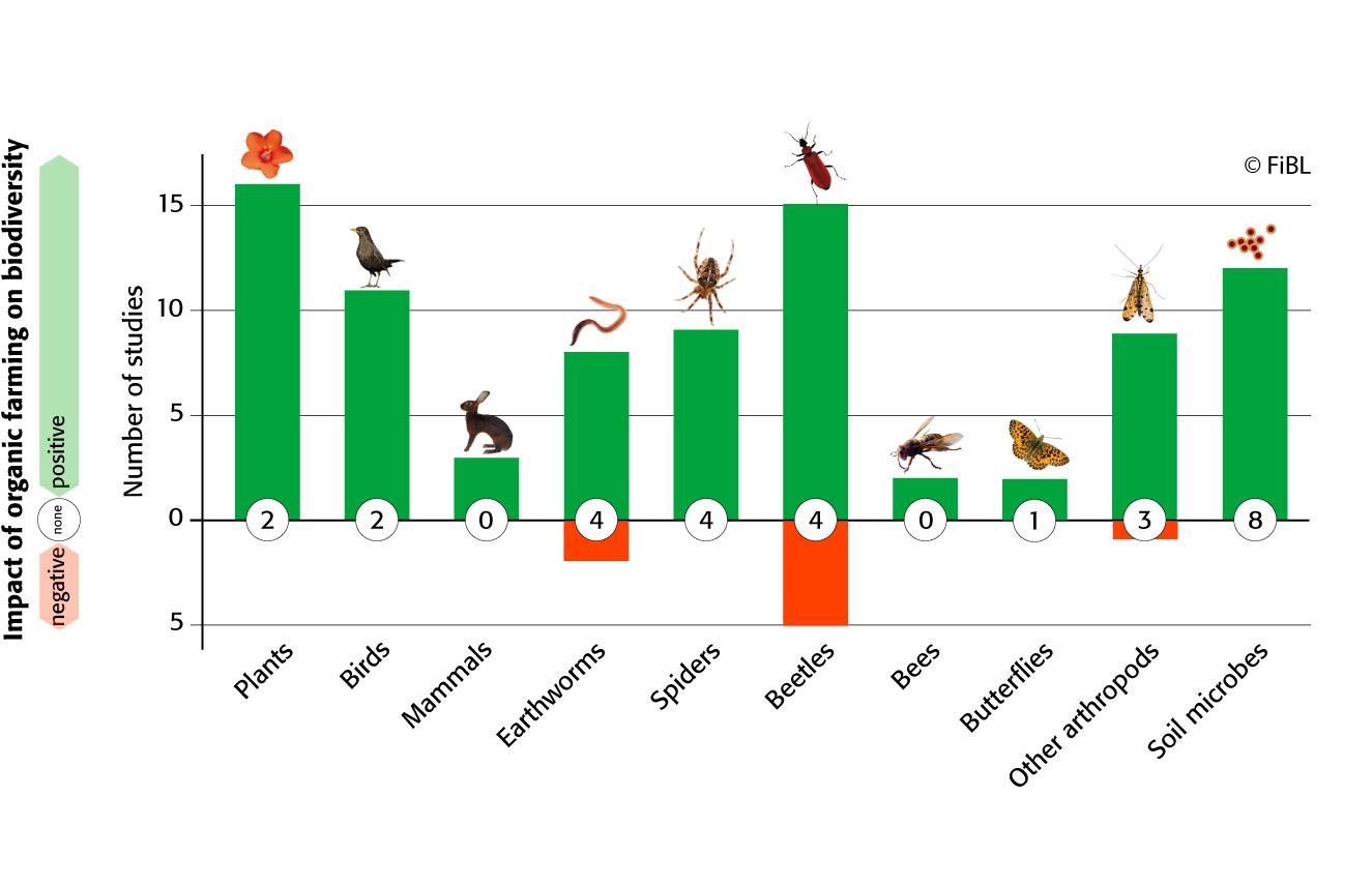 Non Organic Farming Animals
