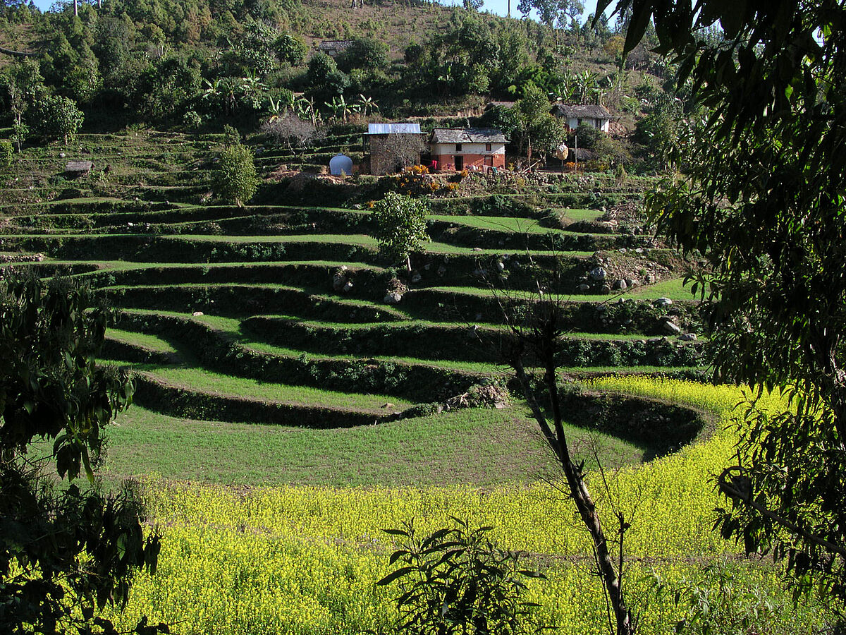 FiBL - Organic farming drives sustainability in global agriculture