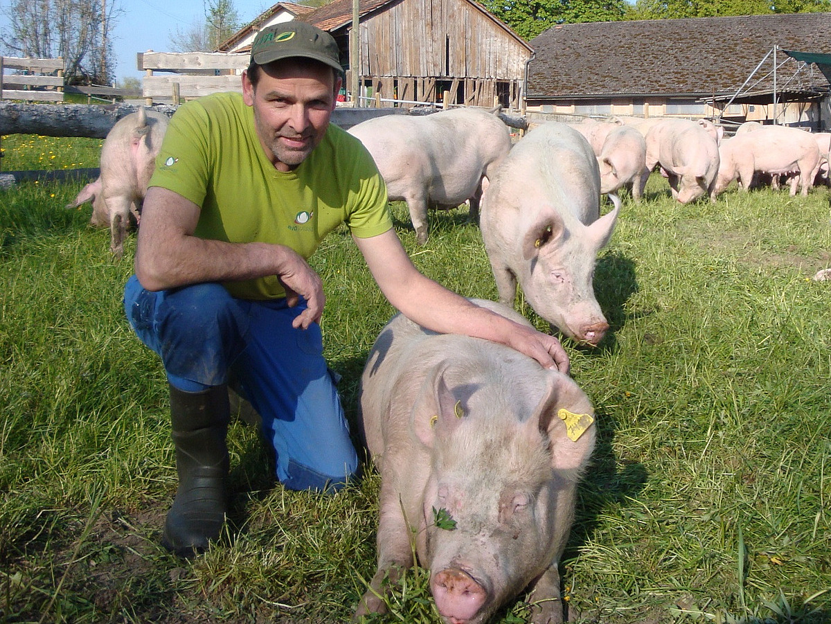 FiBL - Peter Haldemann zur Biodiversität: "Es muss mehr mit der Praxis ...
