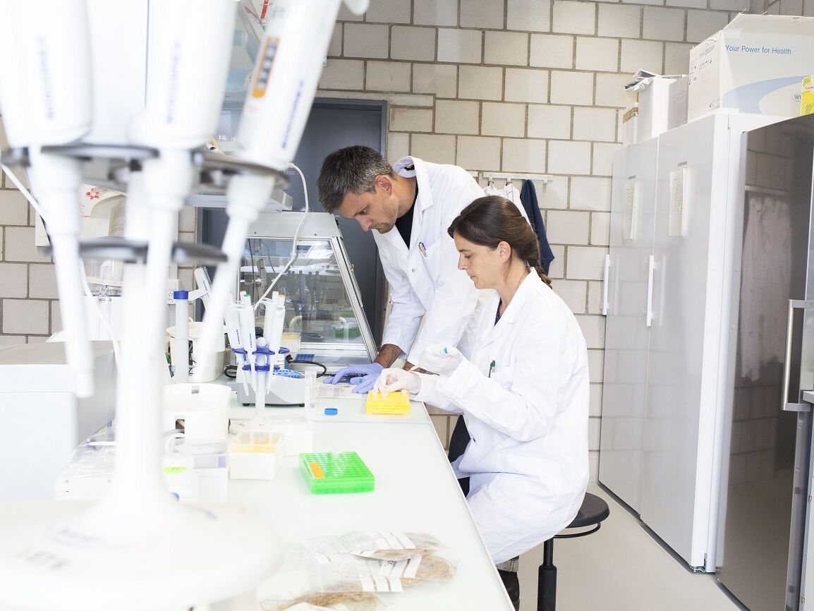 FiBL - Wanted: Robust bundles of protein