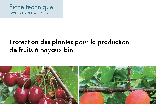 FiBL - Protection des plantes pour la production des fruits à noyaux ...