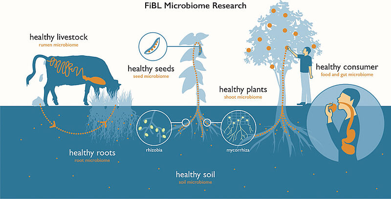 FiBL - Microbiome