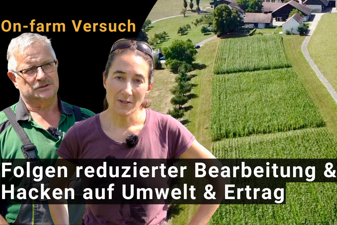FiBL - Video: Auswirkungen des Hackens auf Umwelt und Ertrag – On-farm ...