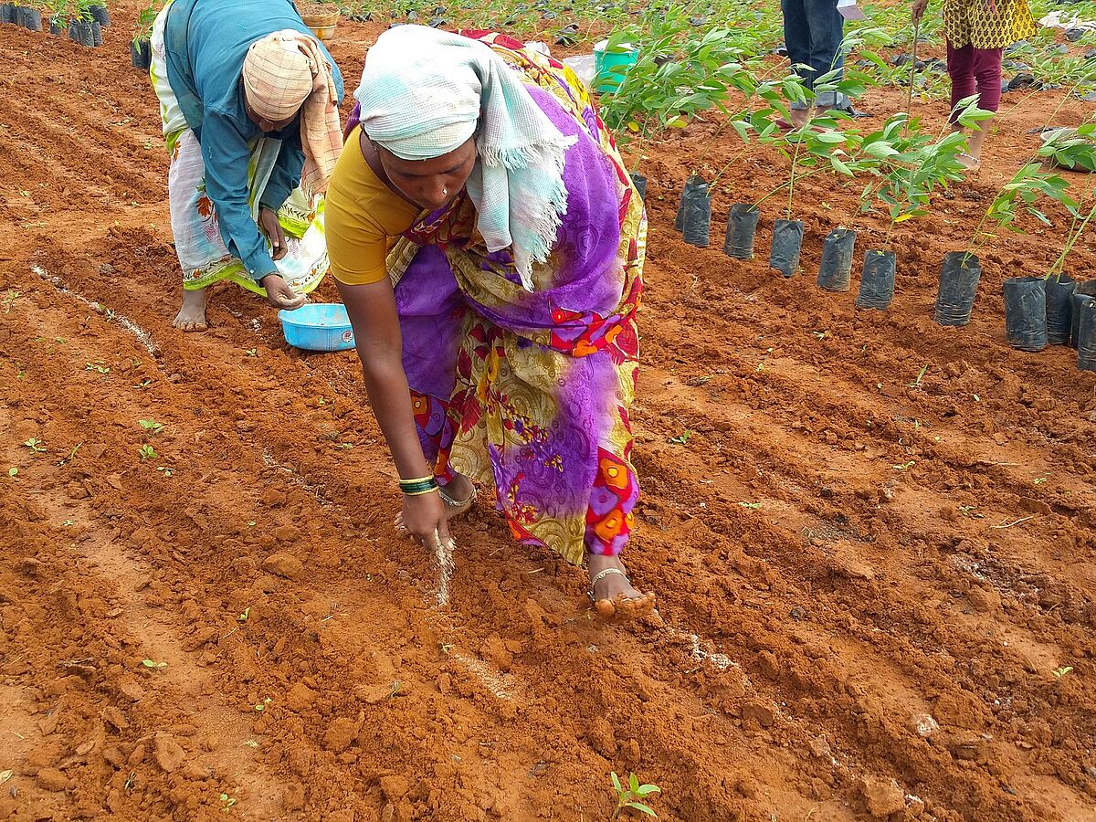FiBL - Soil microbes replace fertiliser