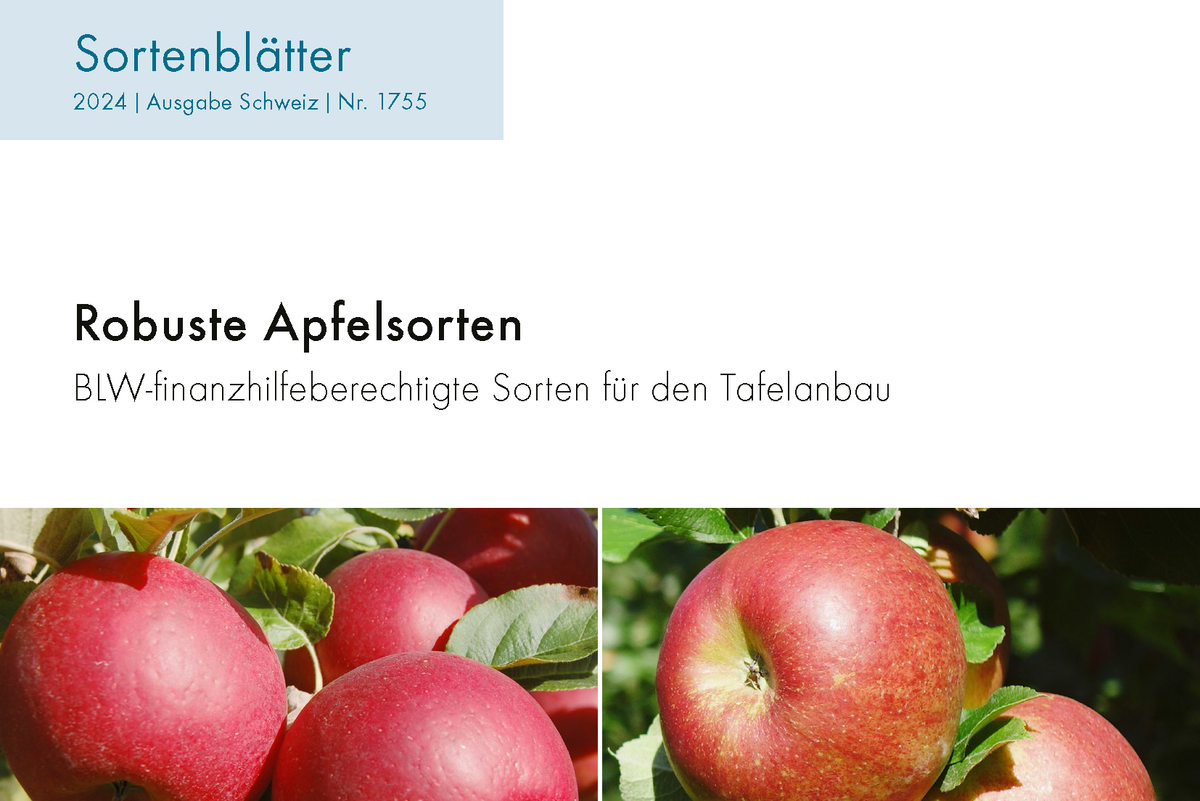 FiBL - Sortenblätter zu robusten Apfelsorten erschienen