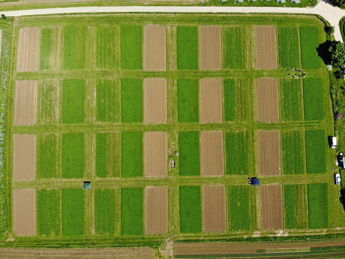 FiBL - Der DOK vergleicht seit zwei Generationen das Gedeihen von Bio ...