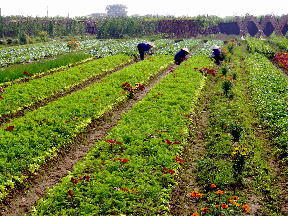FiBL - Participatory guarantee systems