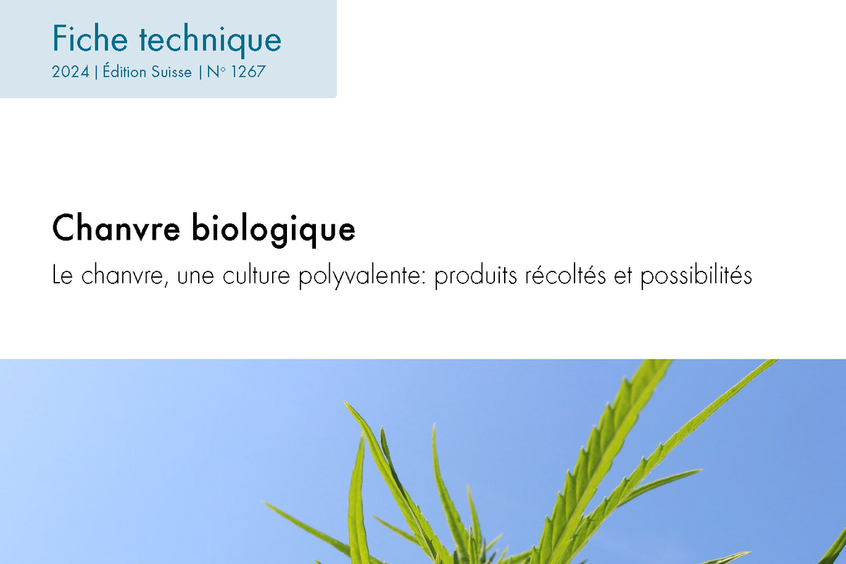 FiBL - Le chanvre, une culture polyvalente: produits récoltés et ...