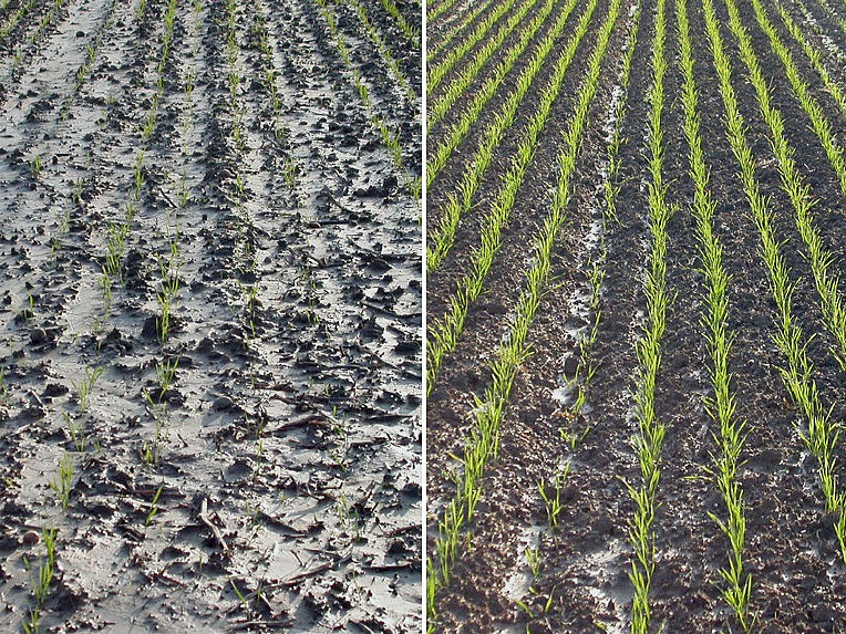 FiBL - 2024 war das wärmste je gemessene Jahr – wir müssen uns anpassen ...