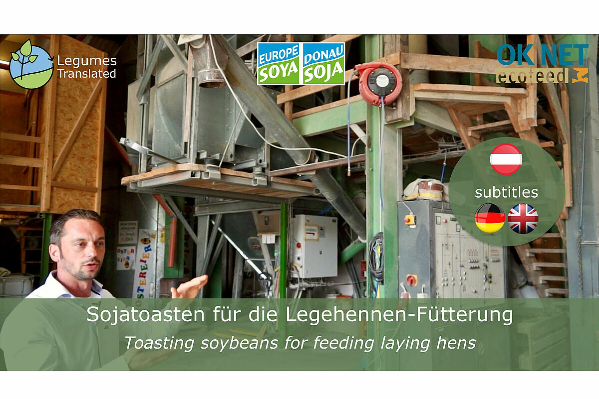 FiBL - New video: Toasting soybeans for feeding laying hens