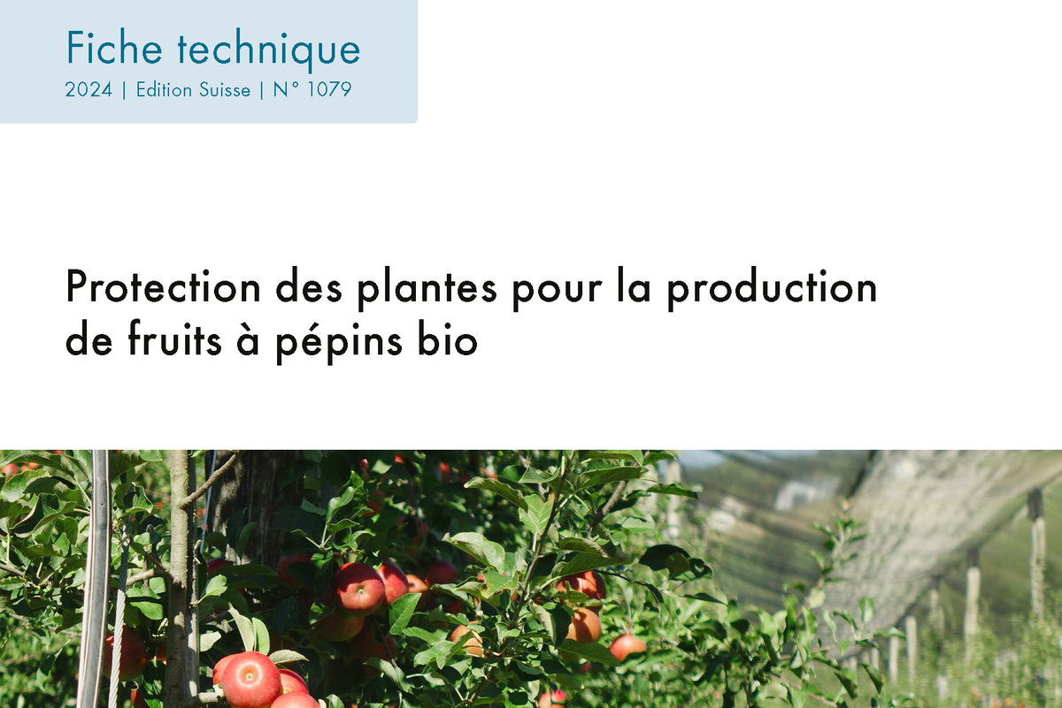 FiBL - Fiche technique sur la protection des plantes dans la culture ...
